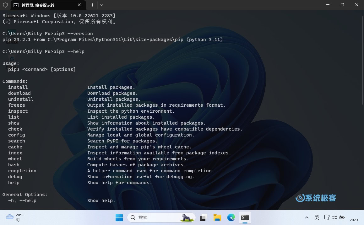 如何在 Windows 中安装 Pip - 系统极客